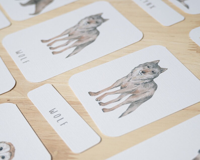 10 Woodland Animals Flashcards for Kids | Montessori Flashcards | Wild ...