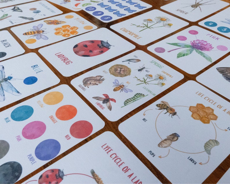 40 Spring Flashcards | Color Flashcards | Counting Flashcards | Nature ...