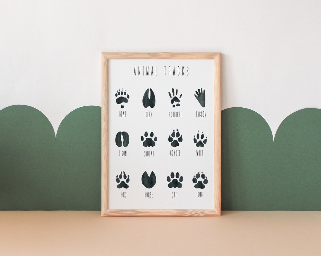 Animal Tracks Poster Woodland Poster Montessori Posters - Etsy