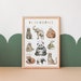 Set of 8 Educational Posters | Wild Animals Posters | Classroom Decor ...