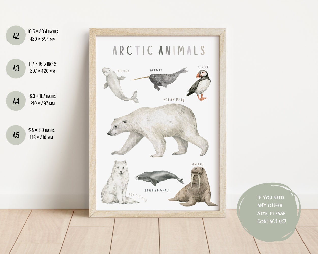 Arctic Animals Poster Educational Poster Classroom Decor Homeschooling ...