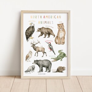 North American Animals Poster | Educational Poster | Classroom Decor ...