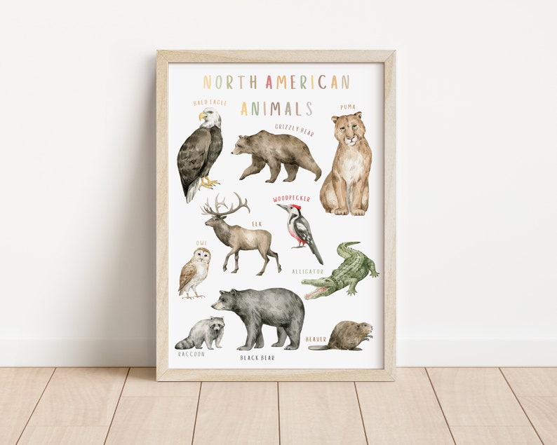 North American Animals Poster | Educational Poster | Classroom Decor ...