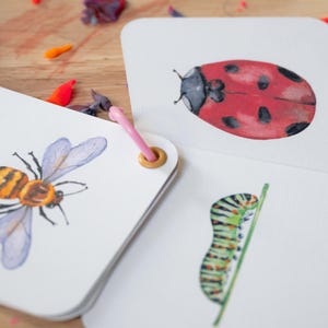 80 Printable Flashcards | Animal Flashcards | Fruit and Vegetables ...