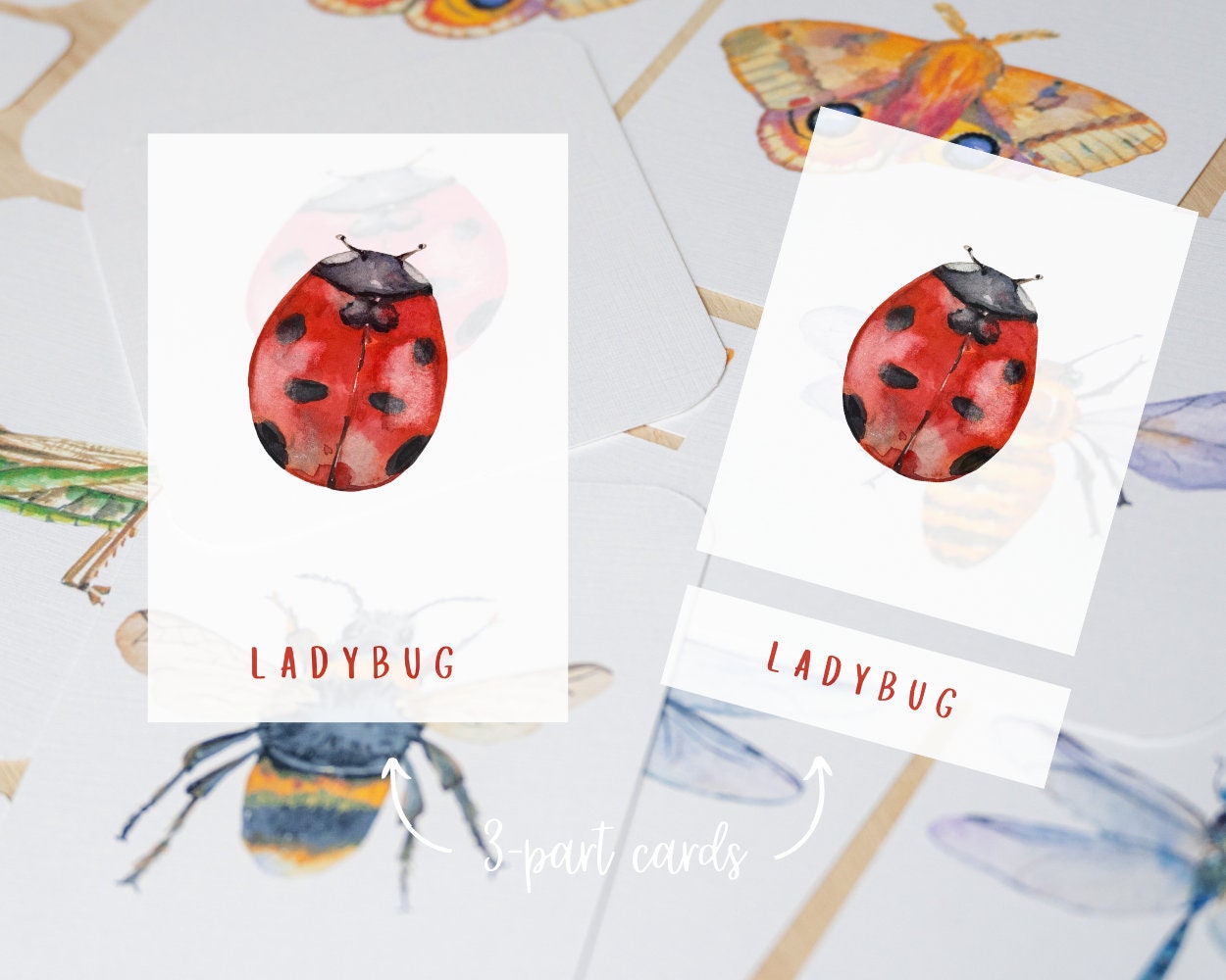 10 Montessori Insects Flashcards for Kids Montessori 3-part-cards ...