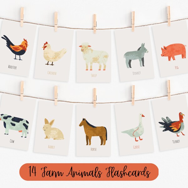 Domestic Animal - Etsy