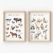 Set of 3 Educational Posters Animal Posters Classroom Decor Montessori ...