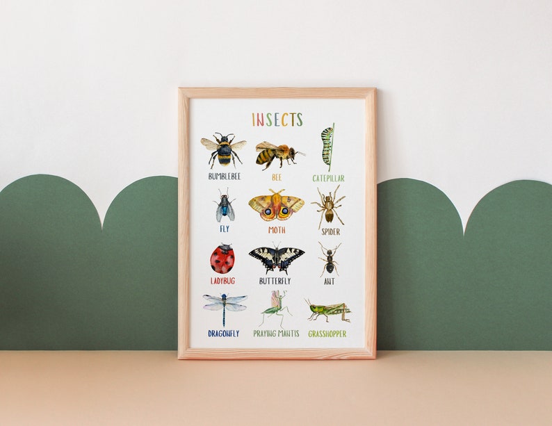 Insects Poster Educational Poster Classroom Decor - Etsy