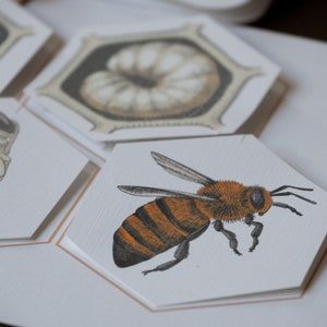 Bee Unit Study | Spring Study Unit | Montessori Material | Bee ...