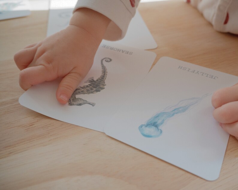 Sommer Lernkarten Meerestiere Lernkarten Druckbare Sommeraktivität ...