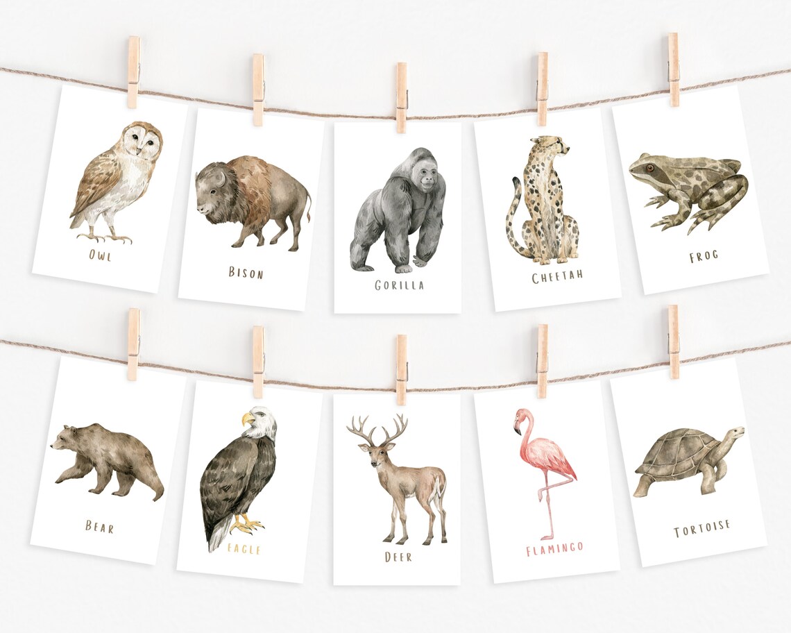 Animal Flashcards Wild Animals Poster Domestic Animals - Etsy