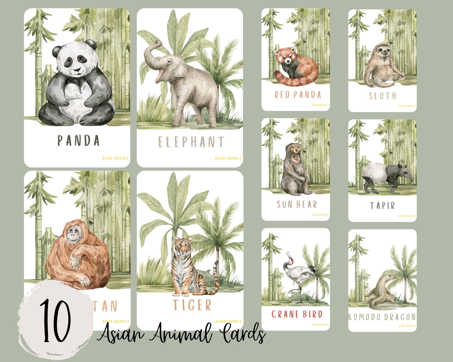 Printable Animal Flashcards Asian Animal Flashcards Kids Flashcards ...