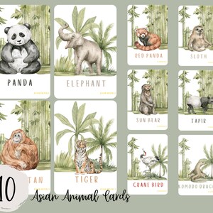 Printable Animal Flashcards | Asian Animal Flashcards | Kids Flashcards ...