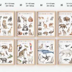 Set of 8 Educational Posters | Wild Animals Posters | Classroom Decor ...