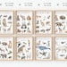 Set of 8 Educational Posters | Wild Animals Posters | Classroom Decor ...