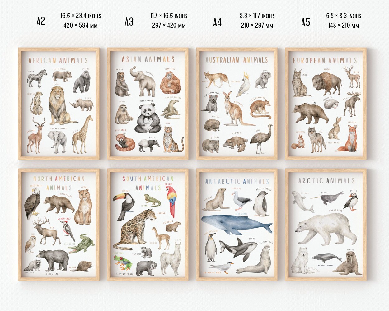 Set of 8 Educational Posters | Wild Animals Posters | Classroom Decor ...