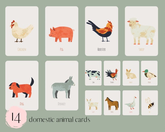 Printable Domestic Animal Flashcards Montessori Education - Etsy