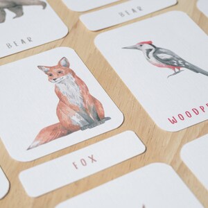 10 Woodland Animals Flashcards for Kids | Montessori Flashcards | Wild ...