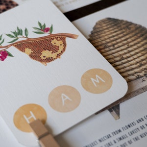 Bee Unit Study | Spring Study Unit | Montessori Material | Bee ...