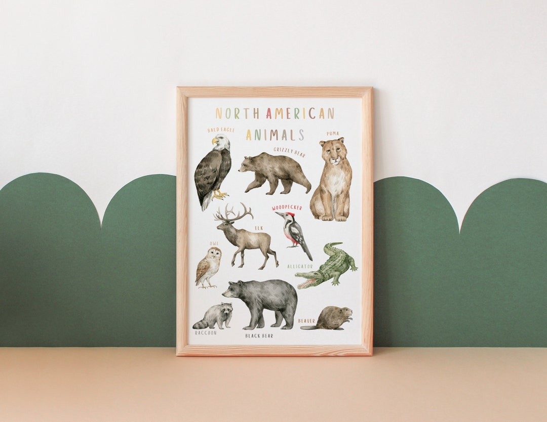 North American Animals Poster | Educational Poster | Classroom Decor ...