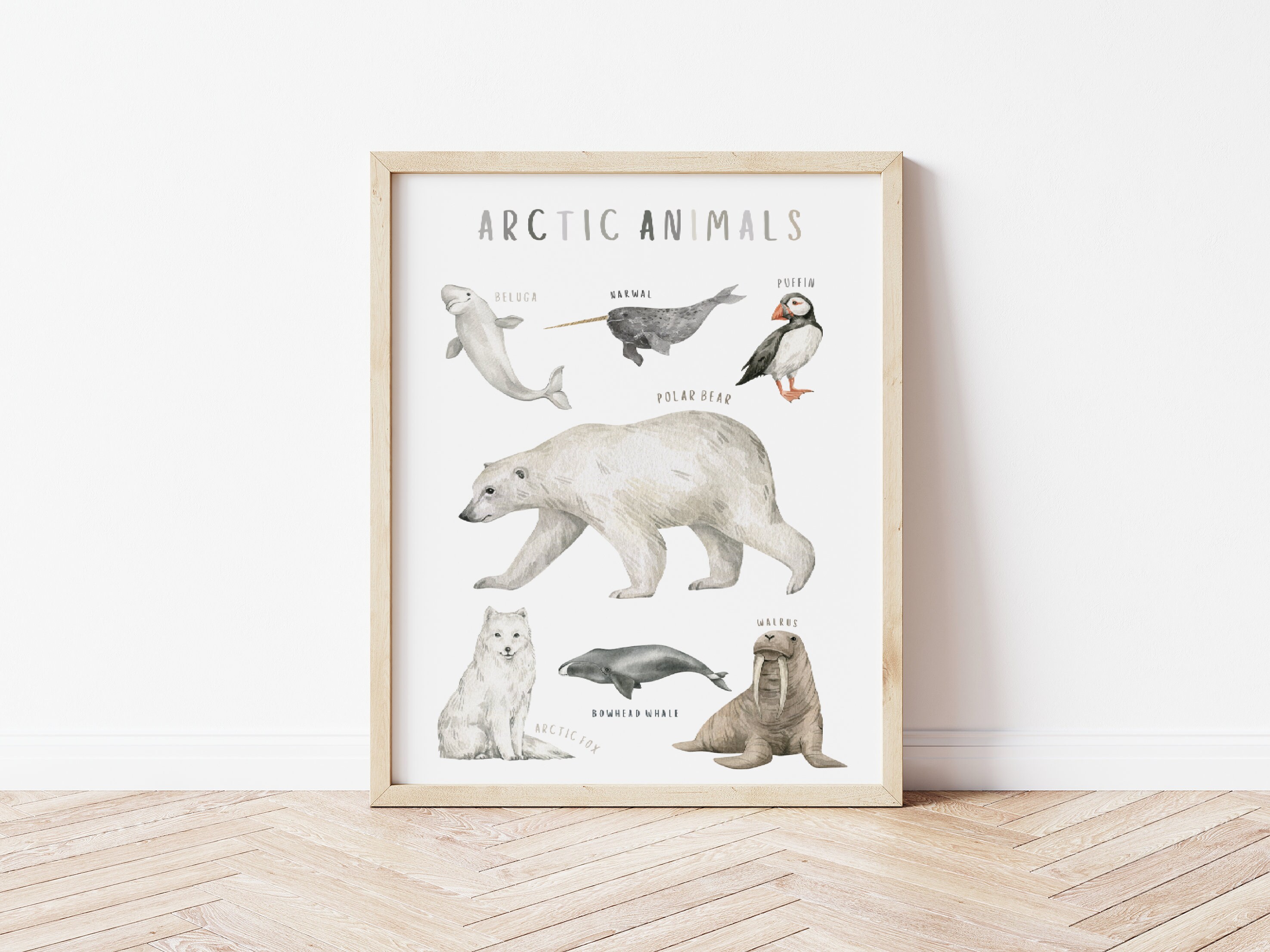 Arctic Animals Poster | Educational Poster | Classroom Decor ...