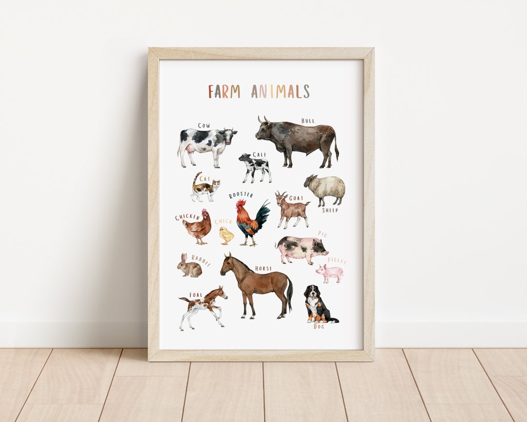 Farm Animals Poster | Domestic Animals Poster | Educational Poster ...