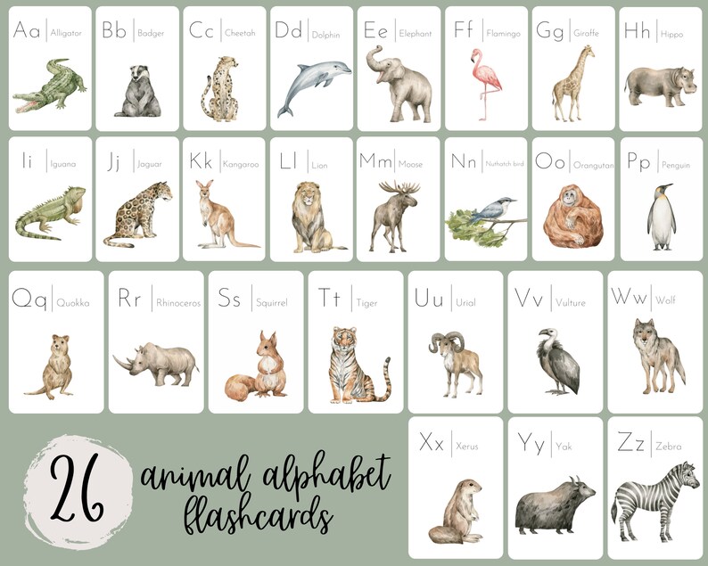 26 Animal Flash Cards Alphabet Flashcards Toddler - Etsy
