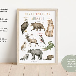 North American Animals Poster | Educational Poster | Classroom Decor ...