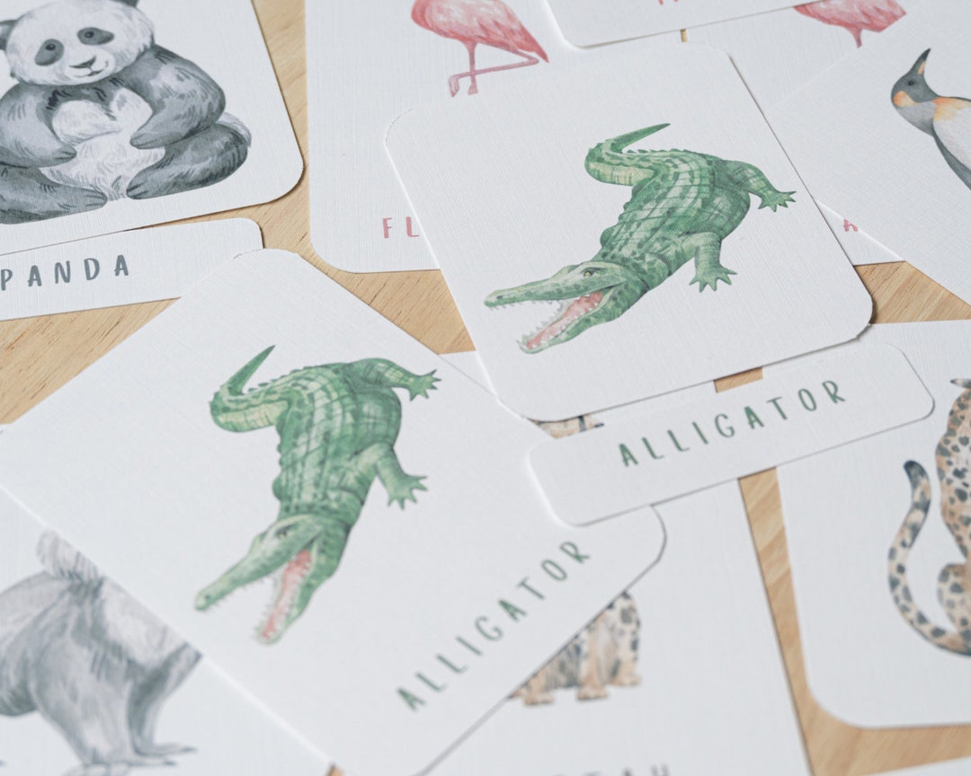 20 Interactive Montessori Wild Animals Flashcards for Kids ...
