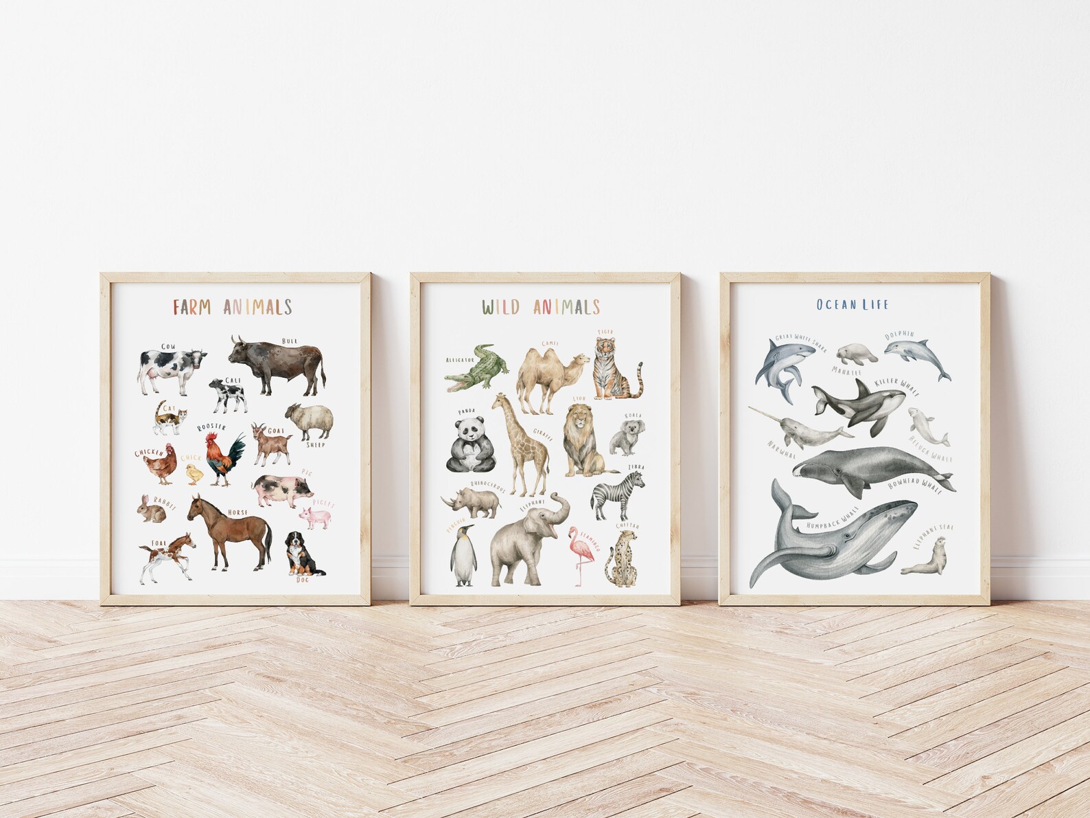 Set of 3 Educational Posters Animal Posters Classroom Decor Montessori ...