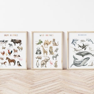 Set of 3 Educational Posters | Animal Posters | Classroom Decor ...