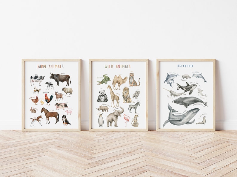 Set of 3 Educational Posters Animal Posters Classroom - Etsy Australia