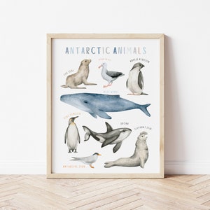 Set of 8 Educational Posters | Wild Animals Posters | Classroom Decor ...