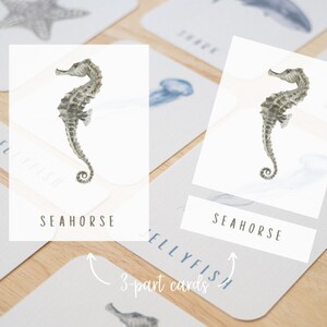 10 Montessori Sea Animals Flashcards for Kids | Educational Digital ...