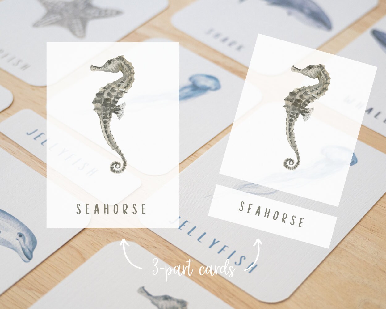 10 Montessori Sea Animals Flashcards for Kids Educational Digital ...