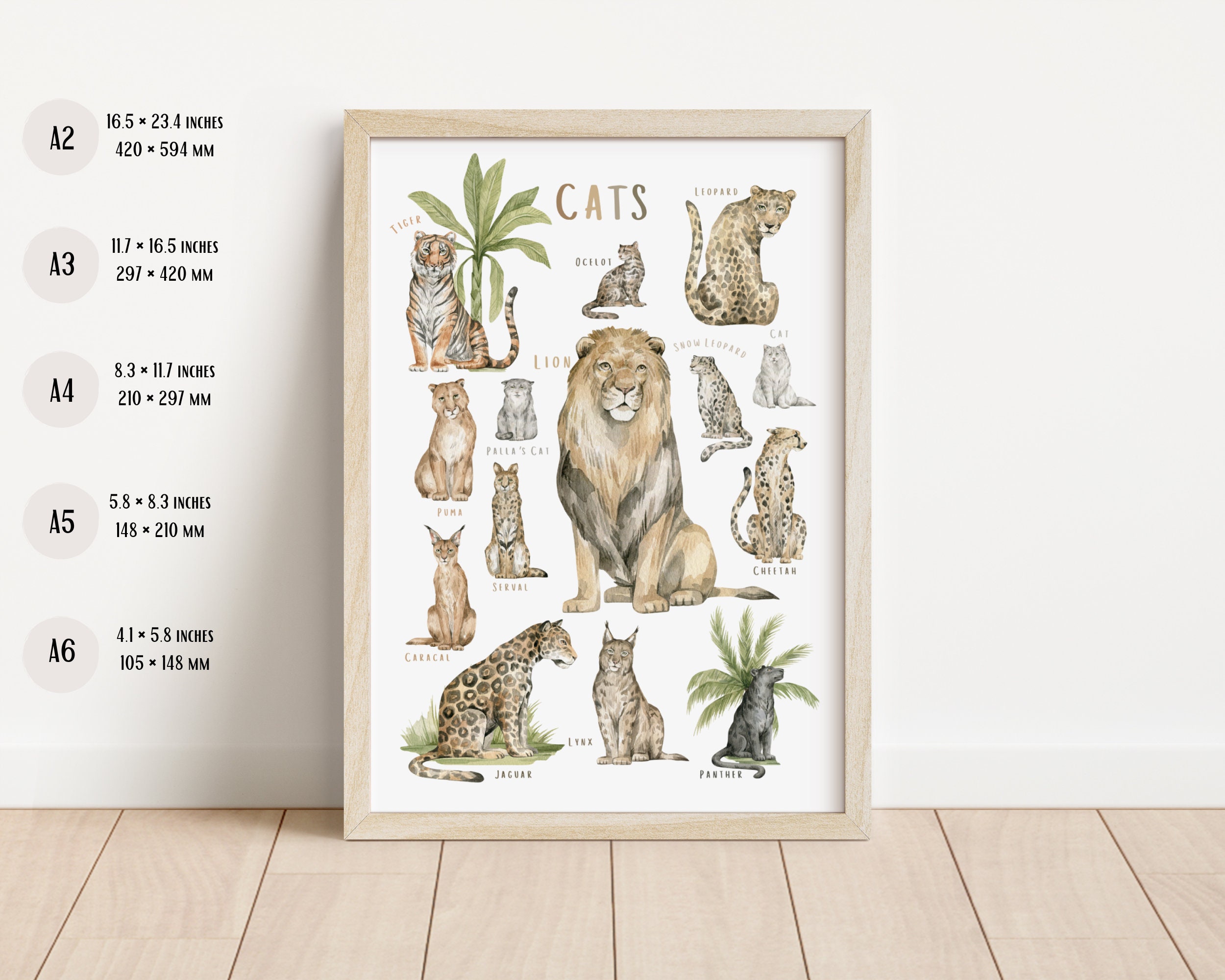 Cats Poster Educational Poster Playroom Wall Art Animal Poster ...