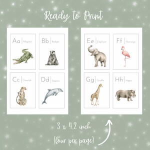 26 Animal Flash Cards | Alphabet Flashcards | Toddler Flashcards ...