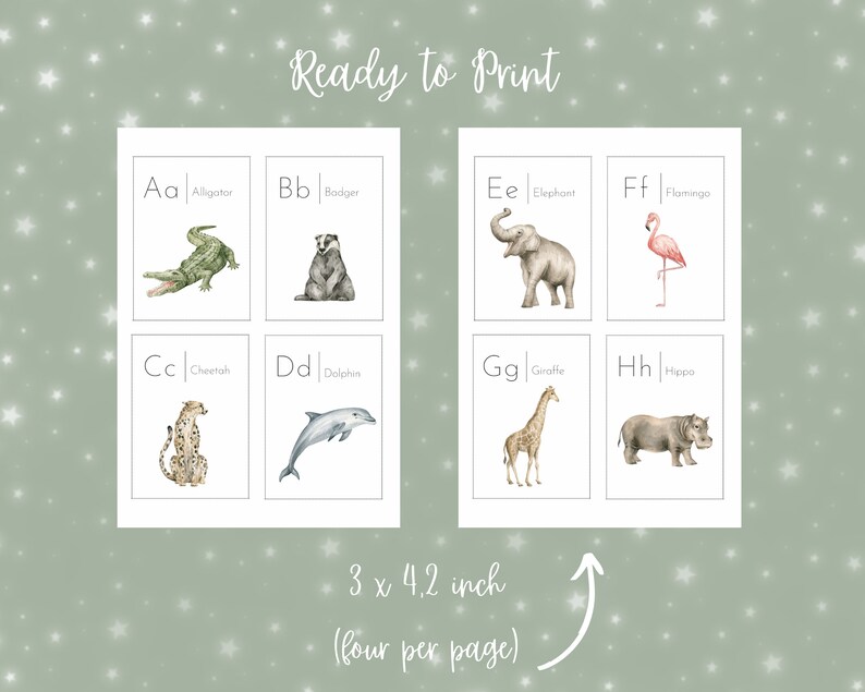 26 Animal Flash Cards Alphabet Flashcards Toddler - Etsy