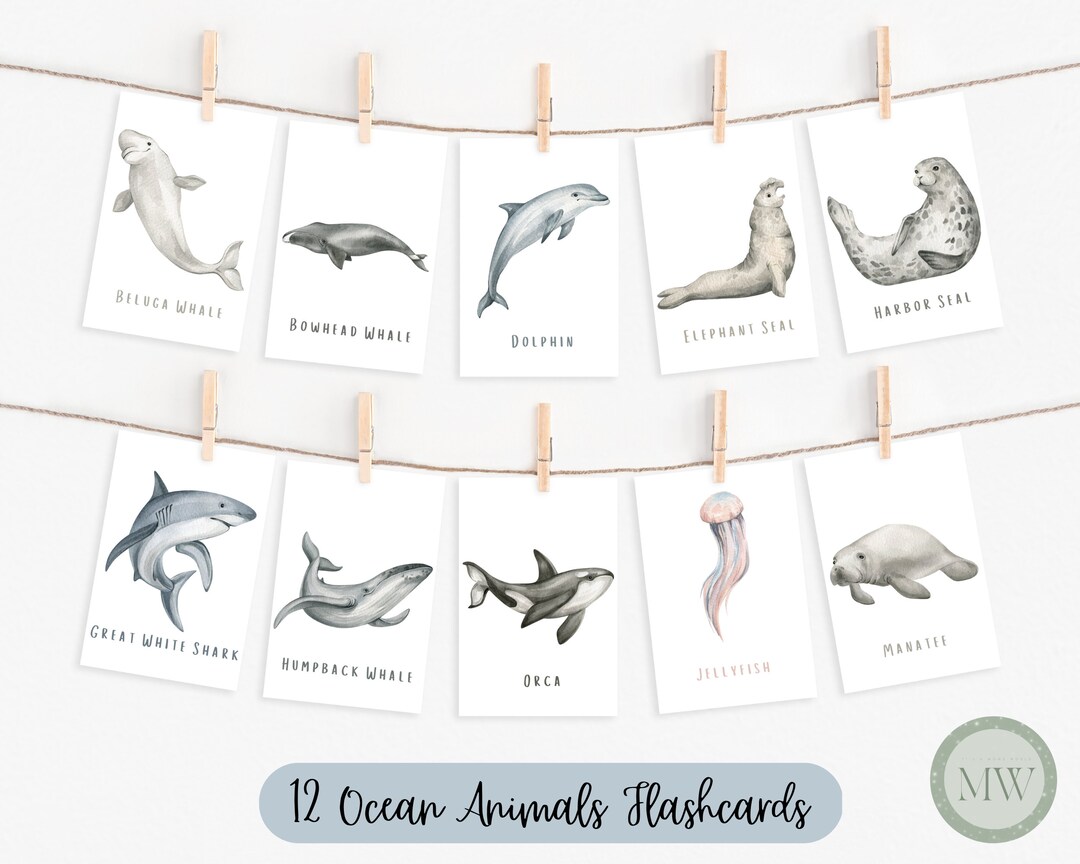 12 Ocean Animal Flashcards | Sea Animal Flashcards | Toddler Flashcards ...