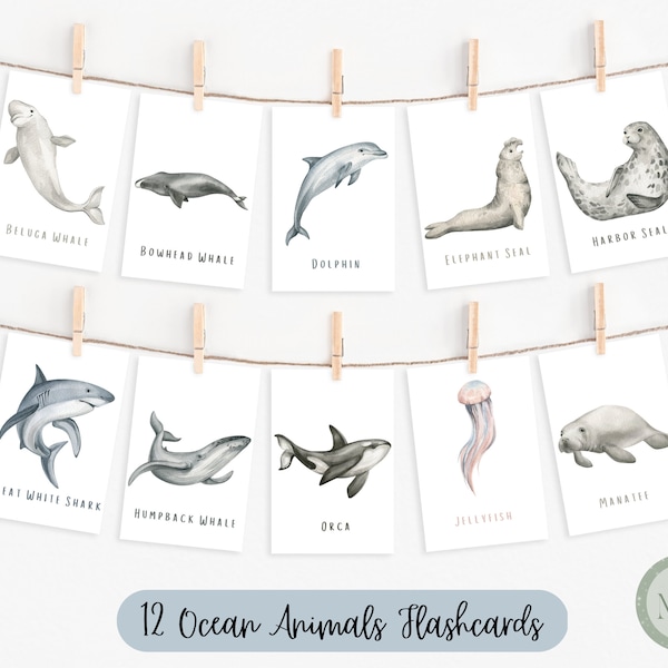 Ocean Animals - Etsy