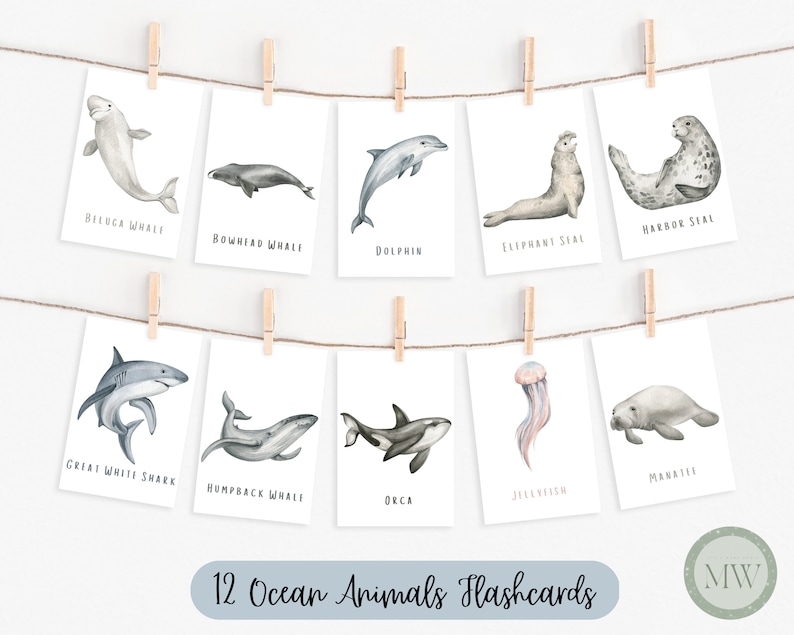 12 Ocean Animal Flashcards Sea Animal Flashcards Toddler - Etsy