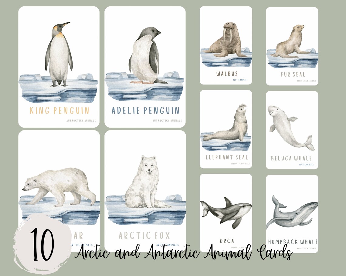 Printable Animal Flashcards Toddler Flashcards Preschool Printable ...
