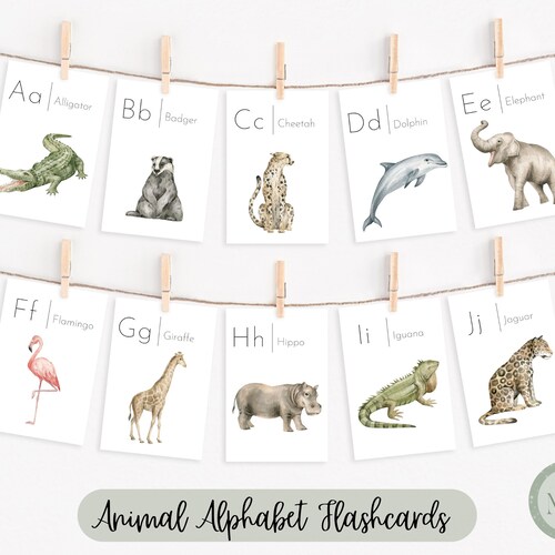 26 Animal Flash Cards Alphabet Flashcards Toddler - Etsy