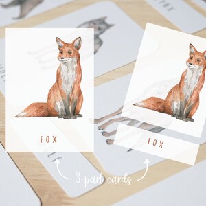 10 Woodland Animals Flashcards for Kids | Montessori Flashcards | Wild ...
