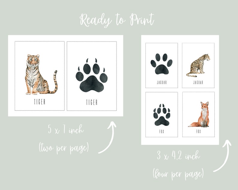 56 Printable Animal Flashcards Animals and Animal Tracks Matching Cards ...