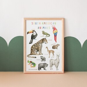 Set of 8 Educational Posters | Wild Animals Posters | Classroom Decor ...