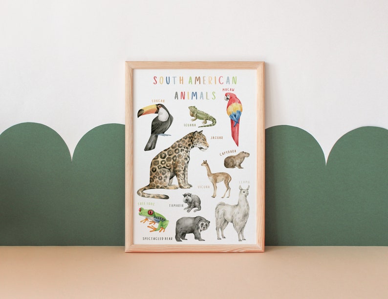 Set of 8 Educational Posters | Wild Animals Posters | Classroom Decor ...