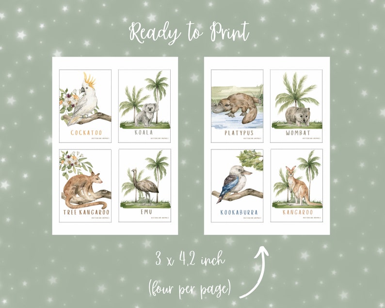 Printable Animal Flashcards Montessori Flashcards Kids - Etsy