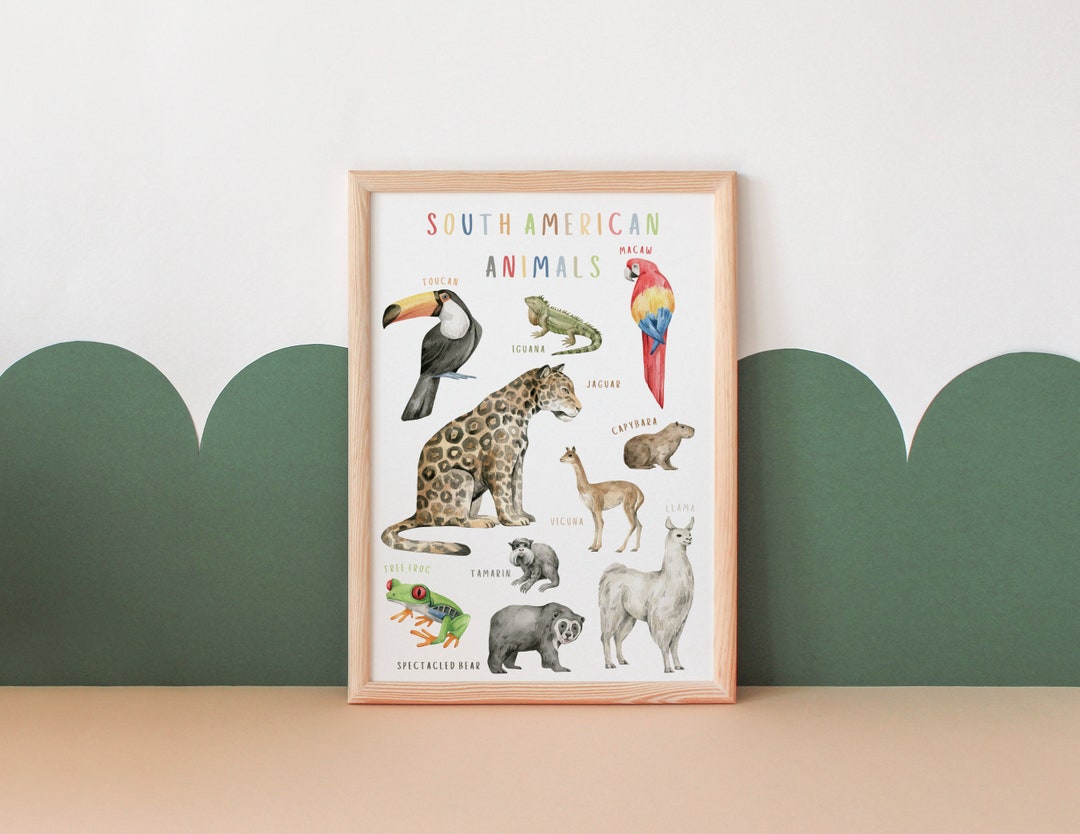 South American Animals Poster | Educational Poster | Classroom Decor ...