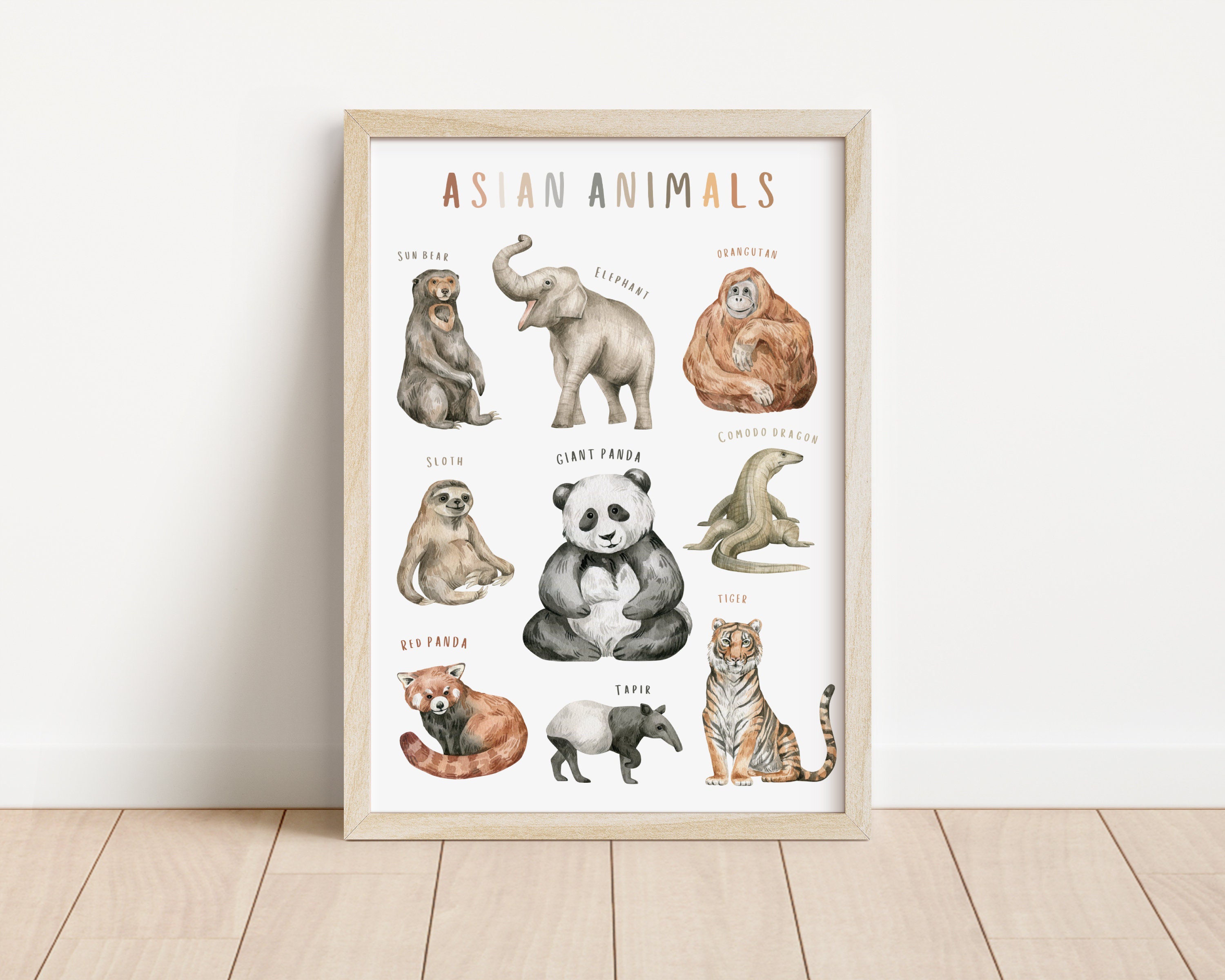 Asian Animals Poster Educational Poster Classroom Decor Preschool ...